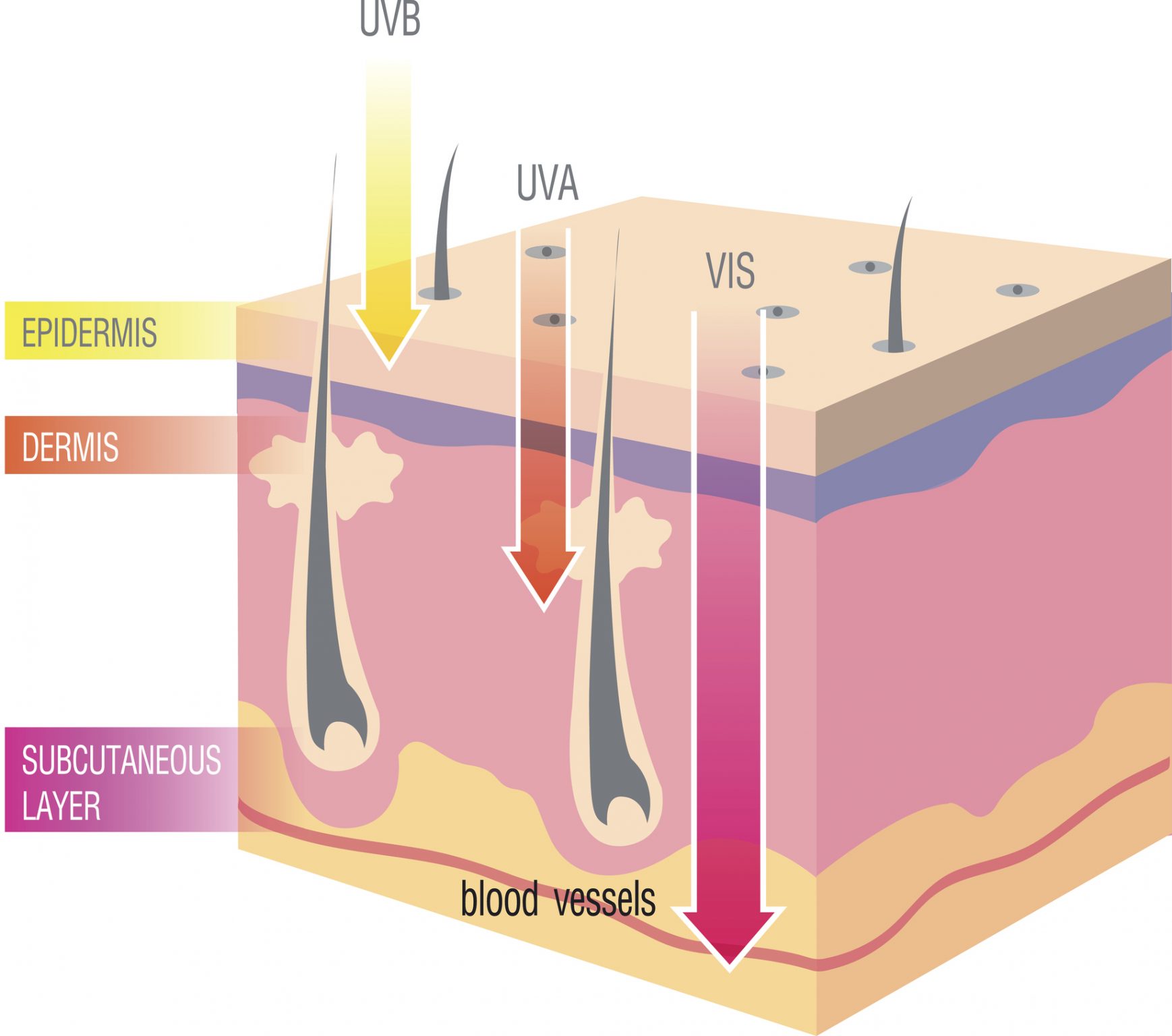 What is Ultraviolet Radiation? | Solar Gard