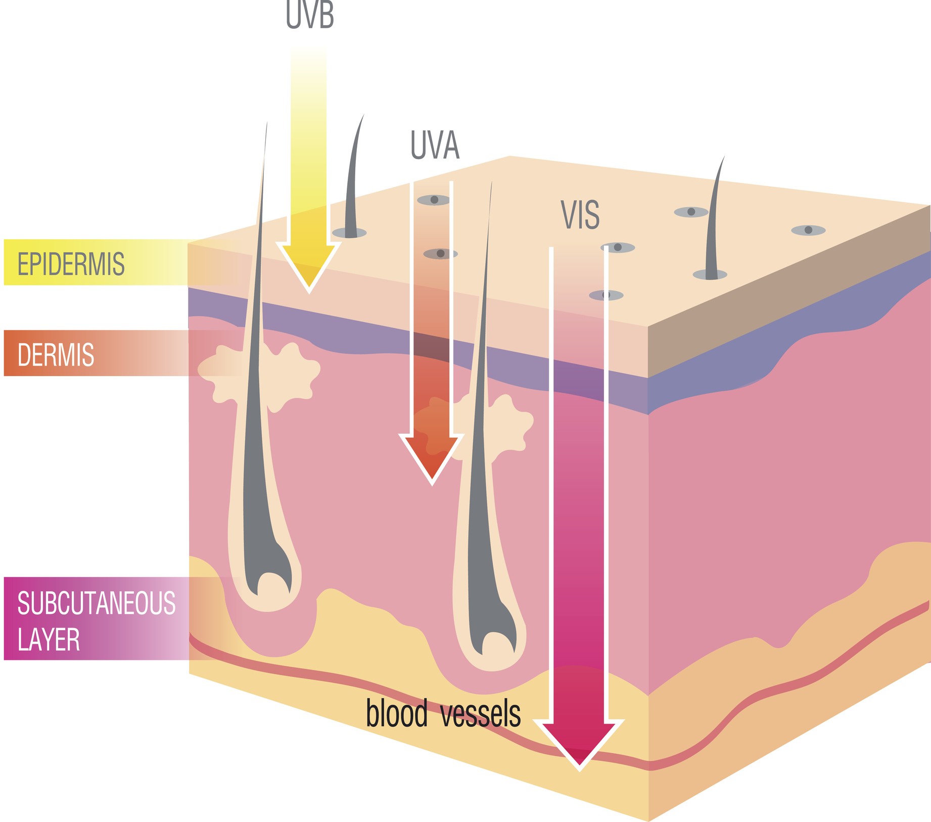 What is Ultraviolet Radiation? | Solar Gard